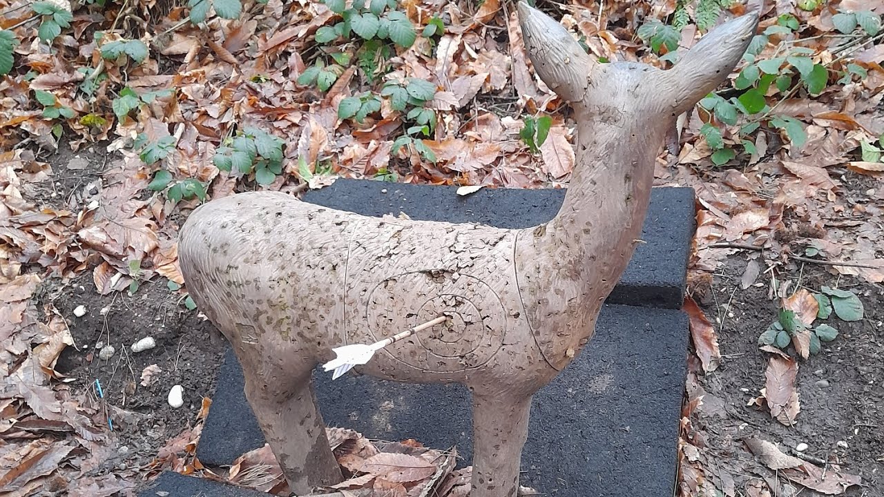 3D Archery Range, Long distance Creek Shot - YouTube