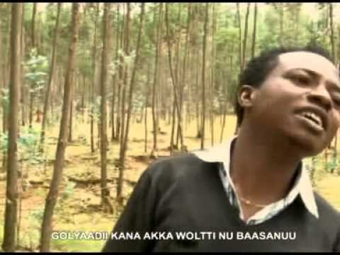 dawit boruu