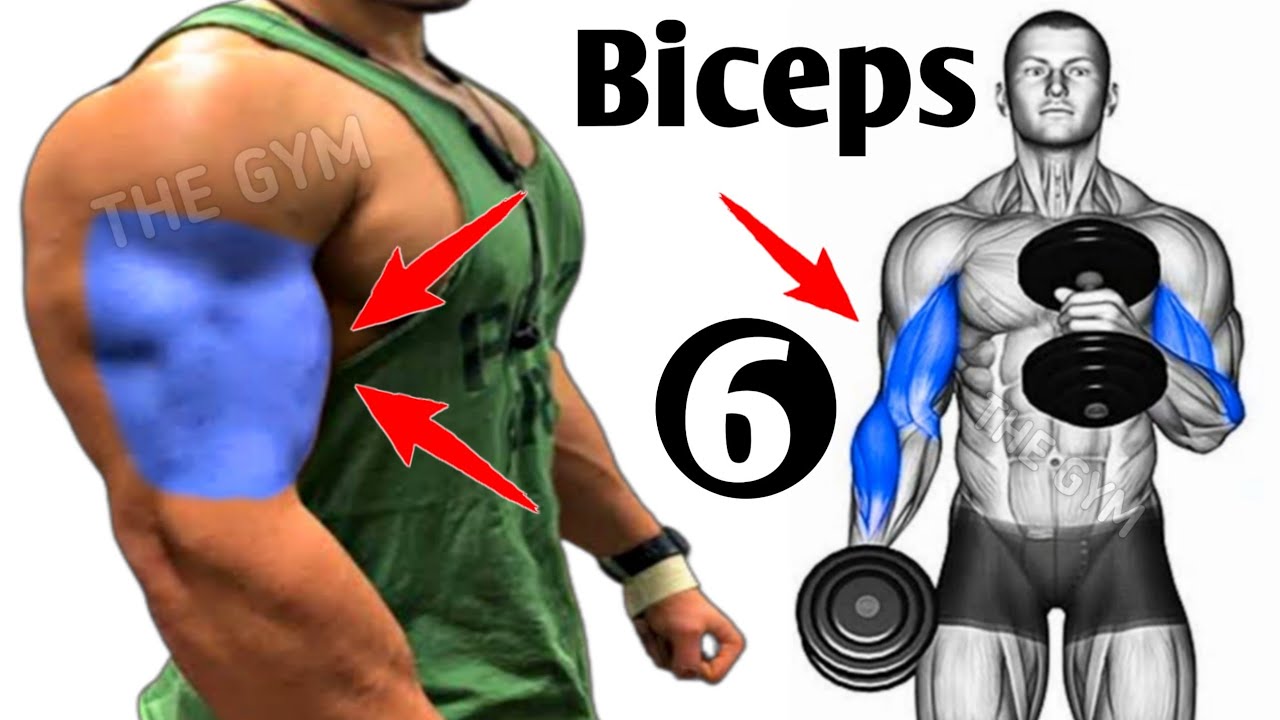 6 Fastest Big Biceps Exercises Workout - YouTube