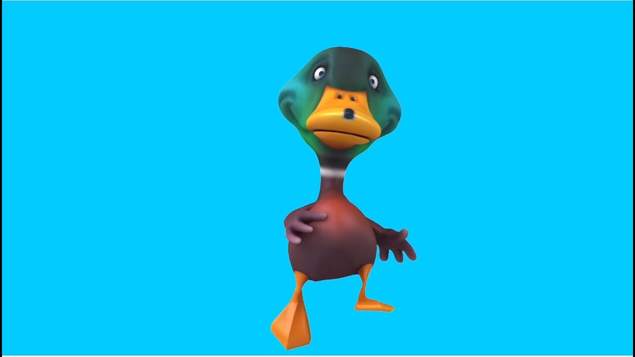 The Duck Disco Song - Fun Dance Moves for Kids! - YouTube