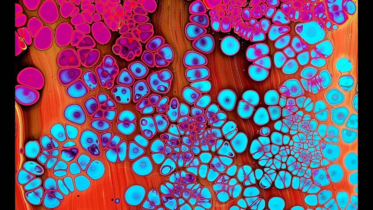 #638 WOW, I Wasn't Expecting That! Such Beautiful Cells In This Bright ...