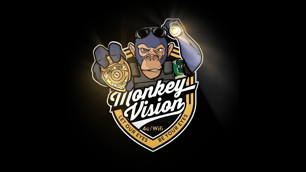 Introducing Monkey Vision - YouTube