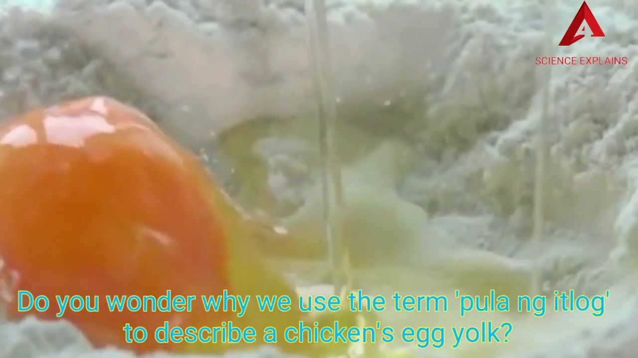 Bakit kulay dilaw ang pula ng itlog? Egg yolk color explanation , free ...