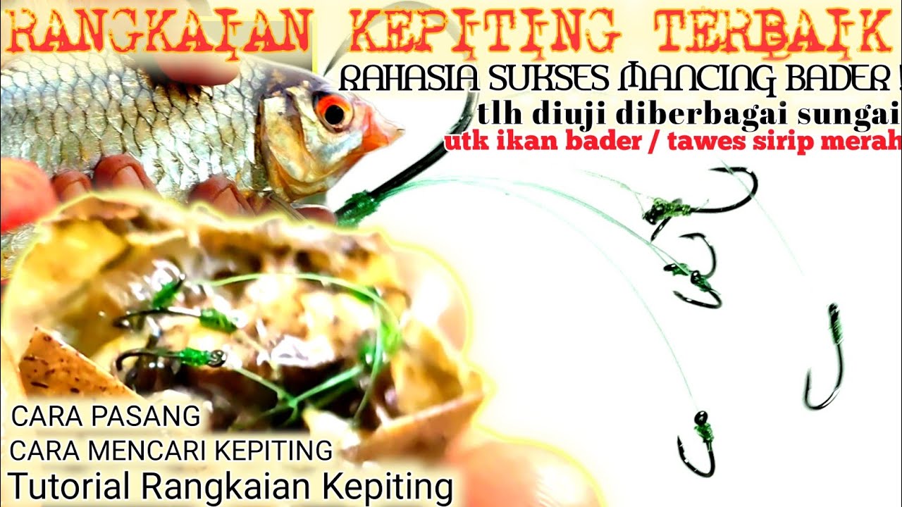 Tutorial Rangkaian Kepiting & cara pasang - YouTube