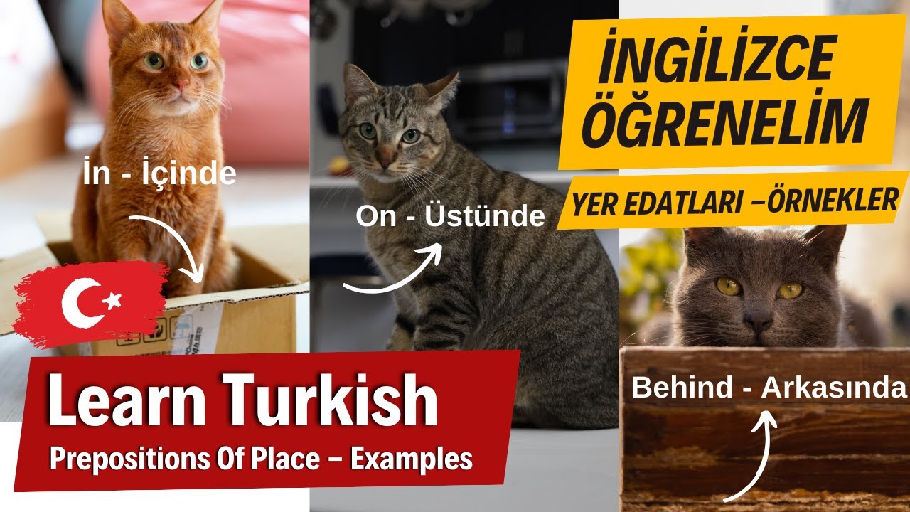 Examples: Prepositions in Turkish | Örnekler: İngilizce Yer Edatları ...