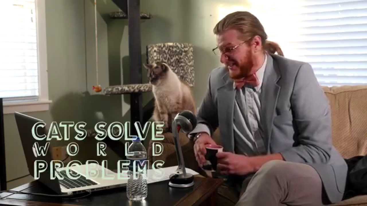 Cats Solve World Problems 01 - YouTube