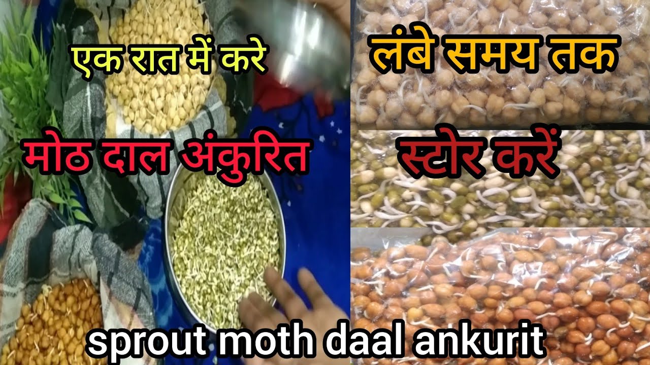 ओवरनाइट वन डे मोठ दाल अंकुरित कैसे करें How to moth dal ankurit kaise ...
