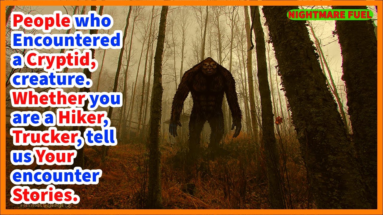 People who encountered a cryptid, creature. Whether you are a hiker ...