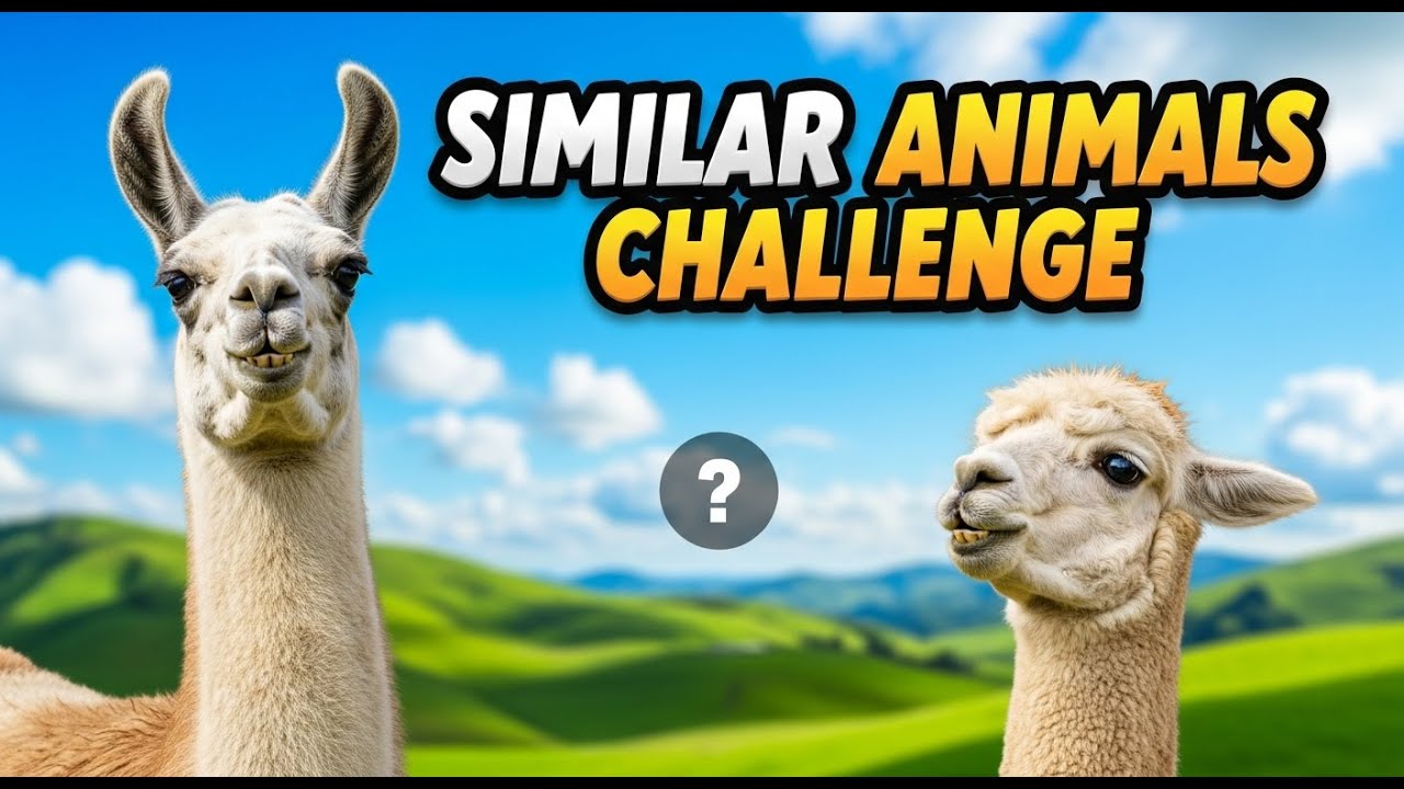 Similar animal challenge | Kids trivia - YouTube