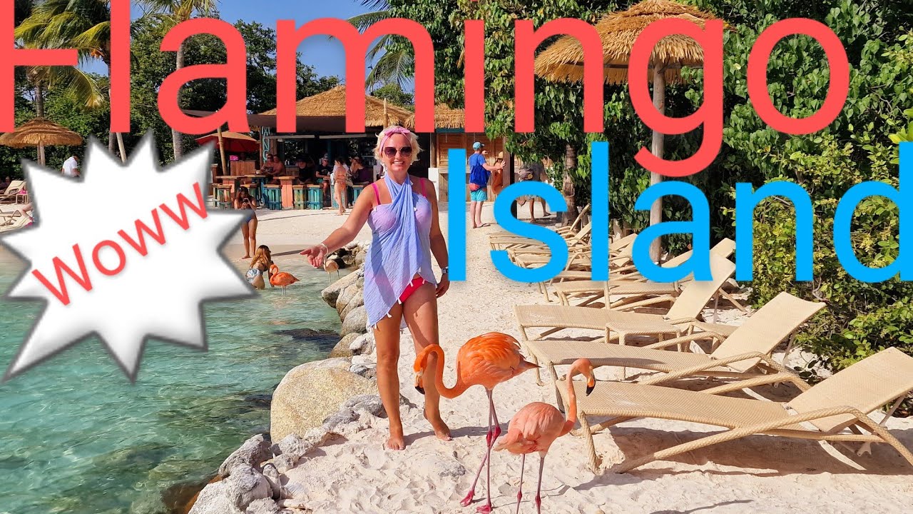 Flamingo Island tour - YouTube