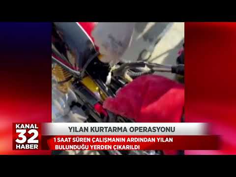 yılan kurtarma operasyonu