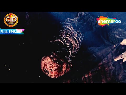 Skeleton Series | CID को मिला Bed Room खोदकर Suhana की Skeleton | CID | Daya. Freddy | 04-07-23