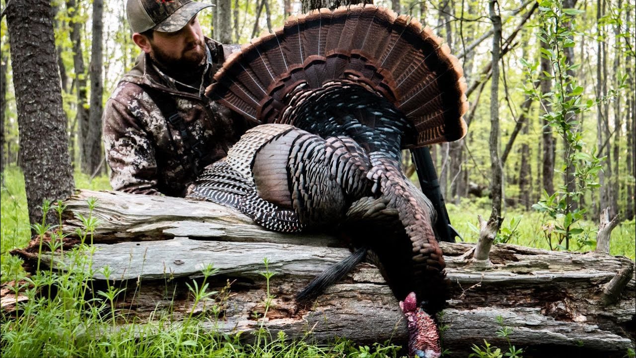 2023 NY Turkey Hunt - YouTube