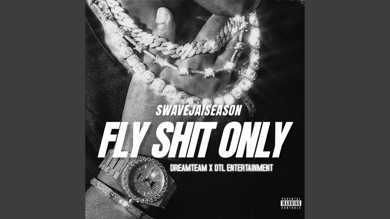 FLY SHIT ONLY - YouTube