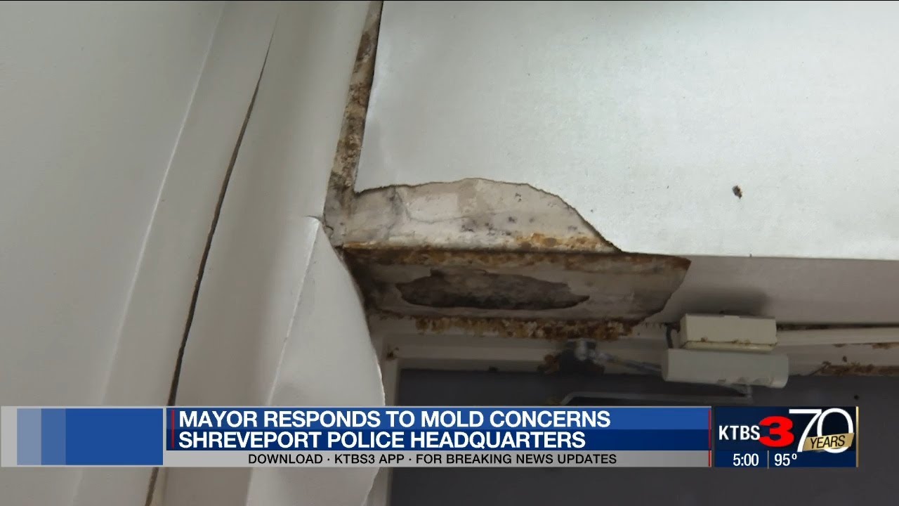Mayor Responds to Mold Concerns - YouTube