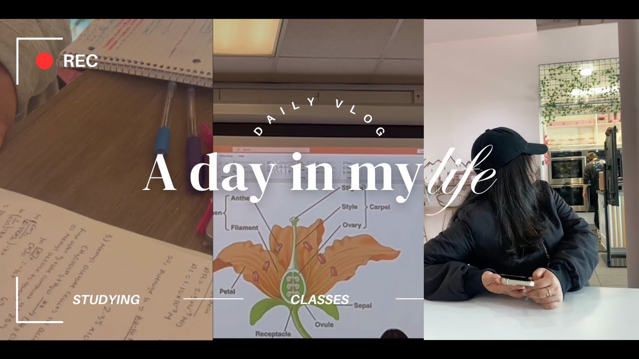 StudyLog:going to classes,crying,stress and sleep💻😂😭 - YouTube