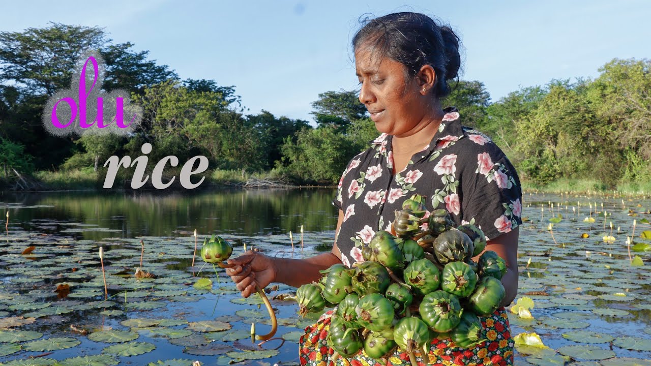 Today I will tell you about a trick to make Olu rice correctly ...