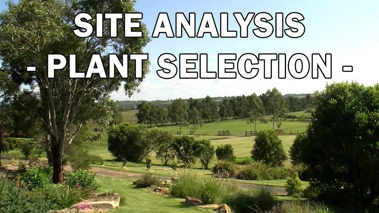 Garden Design - Site Analysis - Plant Selection - YouTube