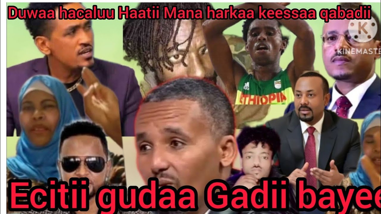 Ecitii gudaa Gadii bayee umaata oromoo guduu wani jiruu - YouTube