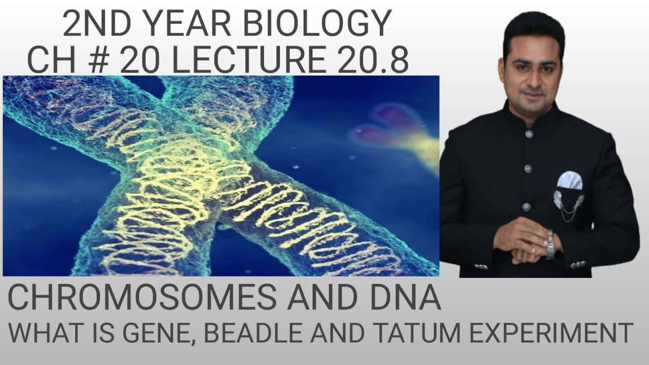 Learn Bio With Khuram| What is a Gene| Beadle and Tatum Experiments ...