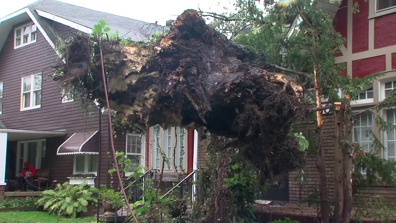 Massive tree splits house nearly in half - YouTube