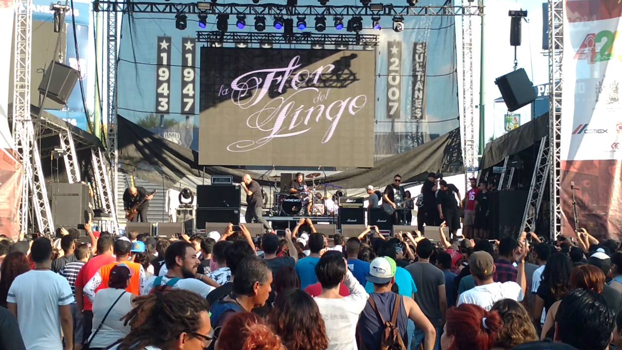 La Flor Del Lingo Clicka 13 - YouTube