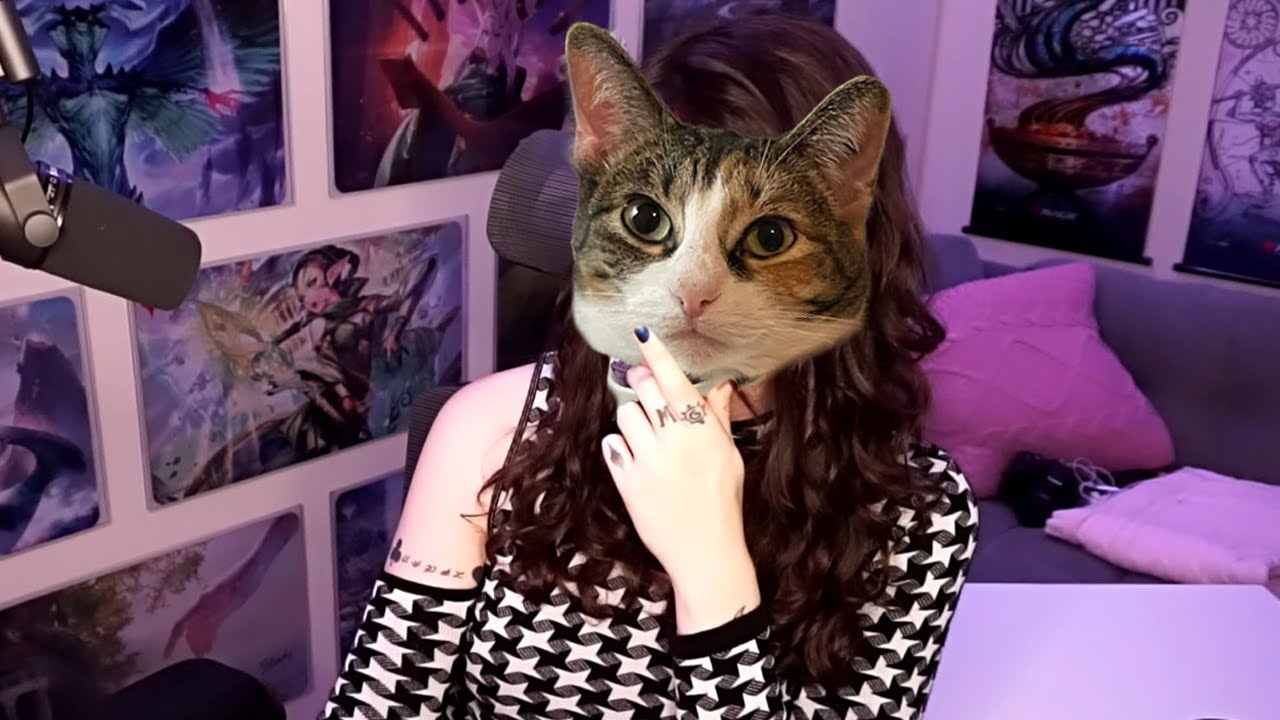 Cat is the streamer now... - YouTube