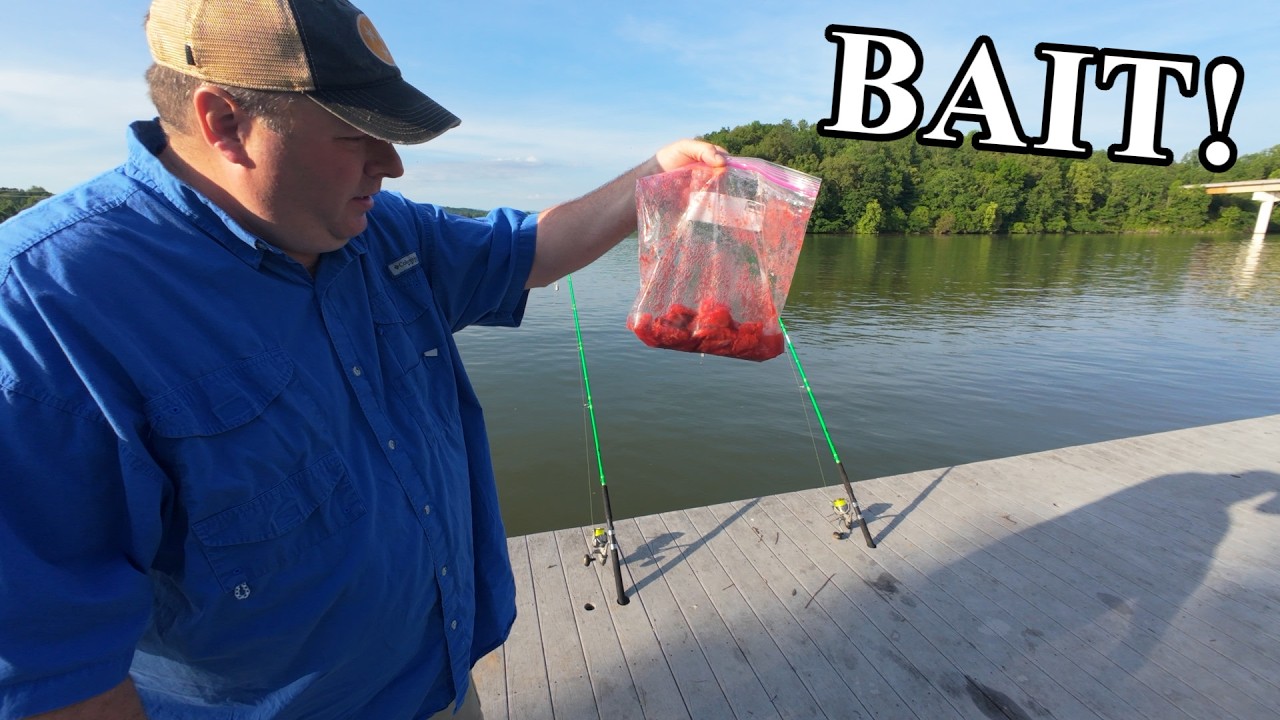 Making And Using Jello Chicken Gizzard Catfish Bait - YouTube