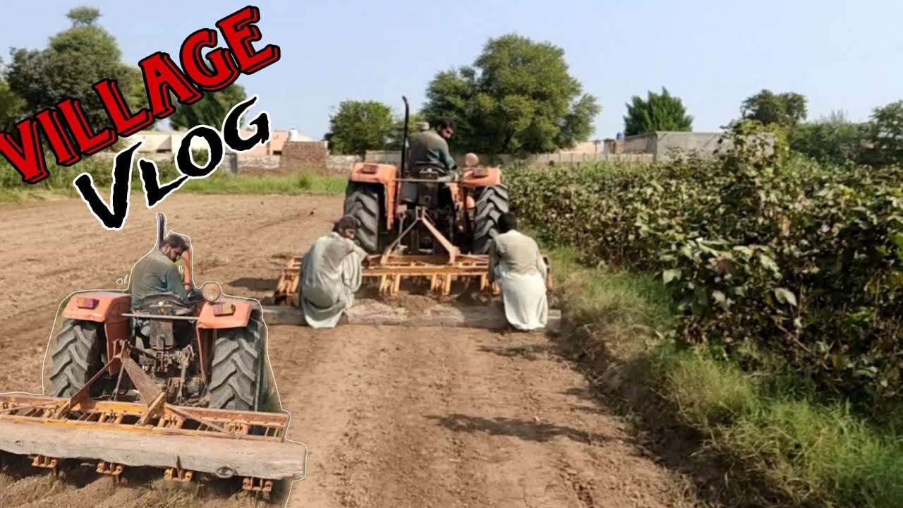 Farmer life in village // Farming in village // Village vlog // Chitta ...
