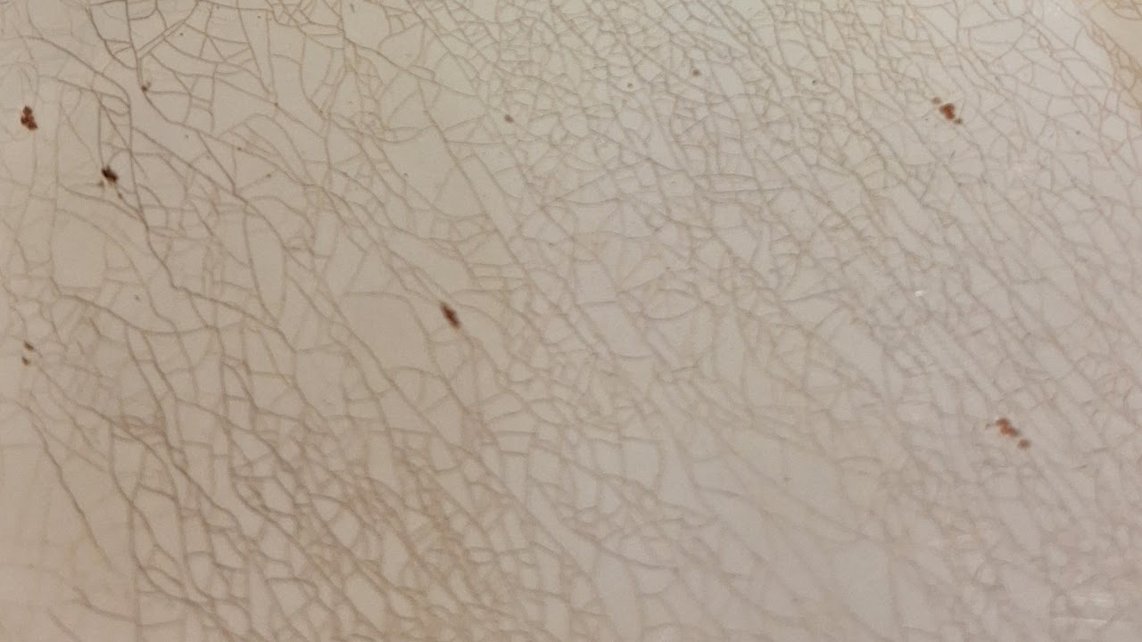 Diffusion en direct de nico page - YouTube