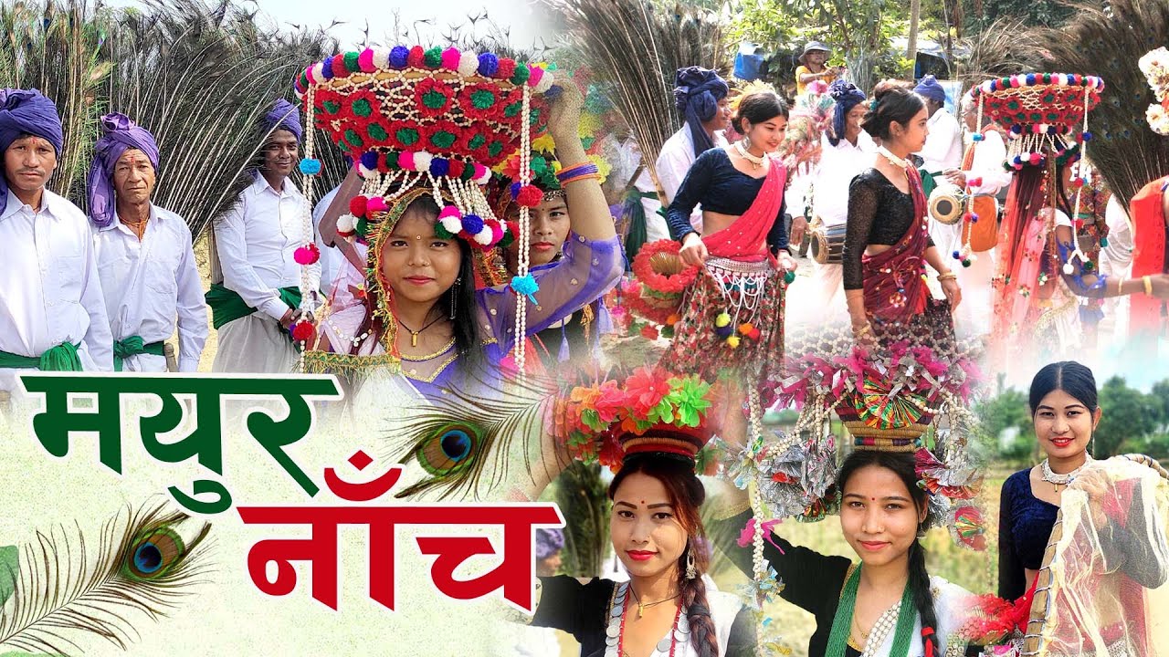 Mayur Dance || मयुर नाच || Tharu Culture - YouTube