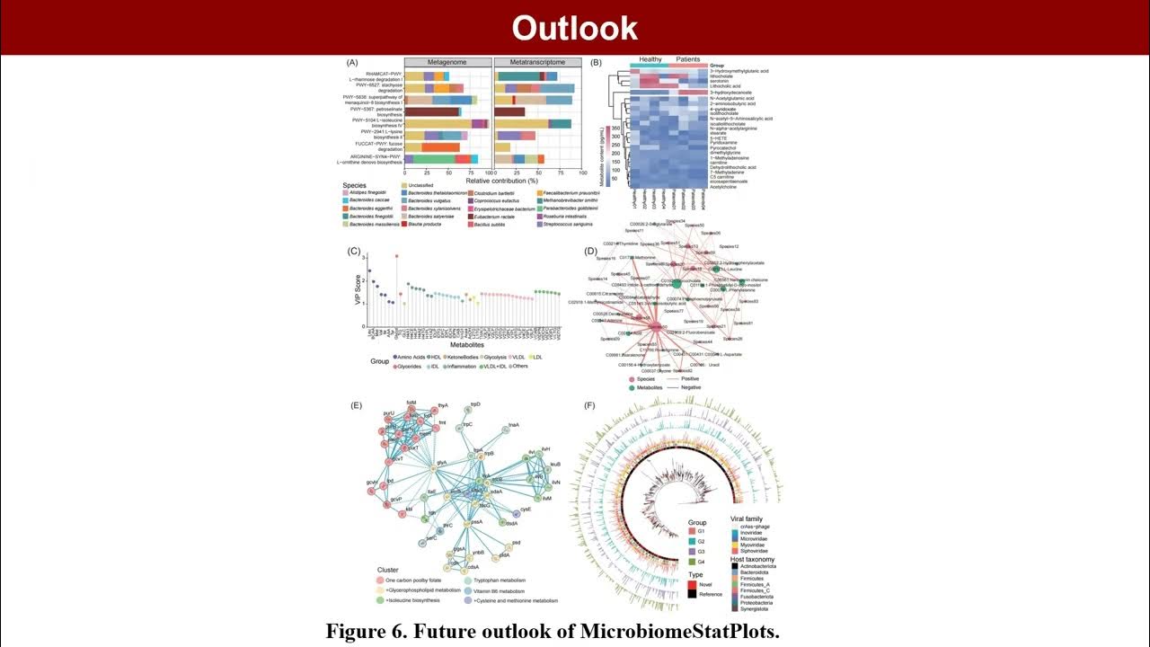 iMeta | MicrobiomeStatPlots: Microbiome statistics plotting gallery for metaomics and ...