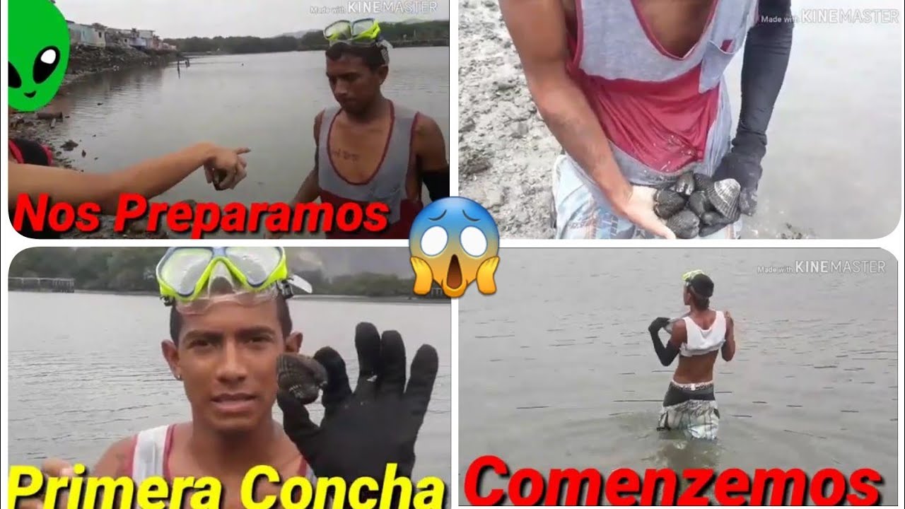 nueva tecnica para coger conchas grandes con los pies[😱😱] - YouTube