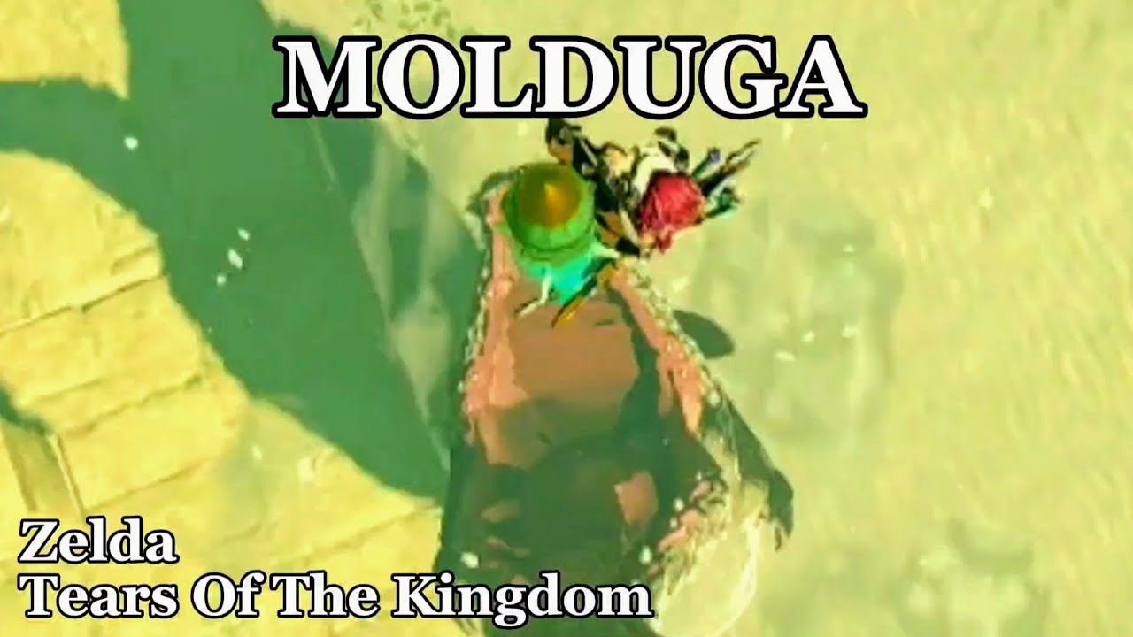 How to beat Molduga: Zelda Tears Of The Kingdom - YouTube