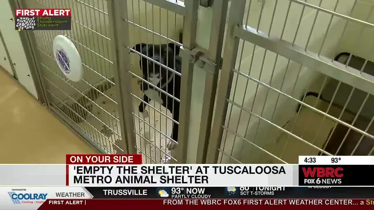 Metro Animal Shelter Tuscaloosa