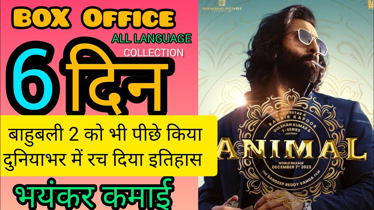 Animal Box office collection, Ranbir Kapoor, Bobby Deol, Animal 6th Day ...
