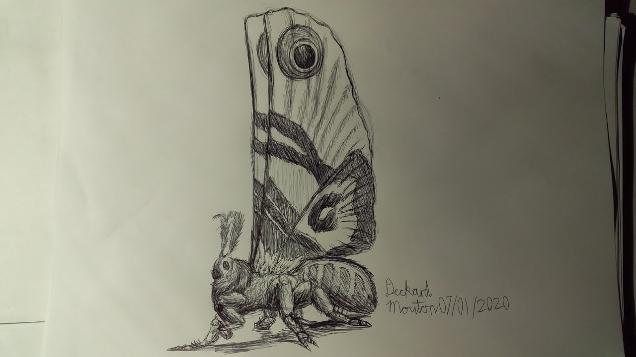 Drawing Mothra - YouTube