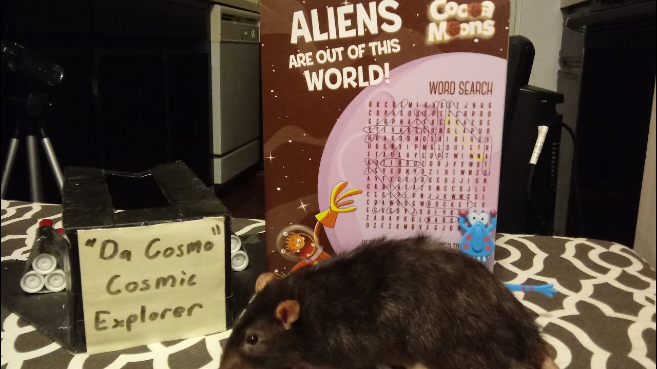 Let’s play Phantasy Star I 05 — The squishy wizard - YouTube