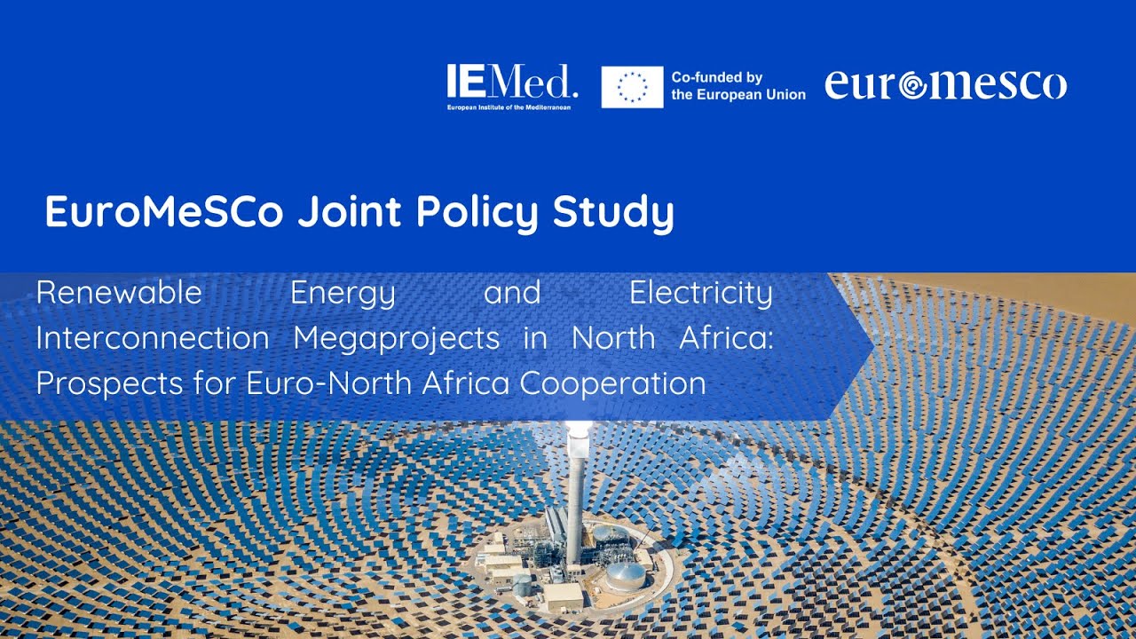 Joint Policy Study - Renewable Energy and Electricity Interconnection Megaprojects in North ...