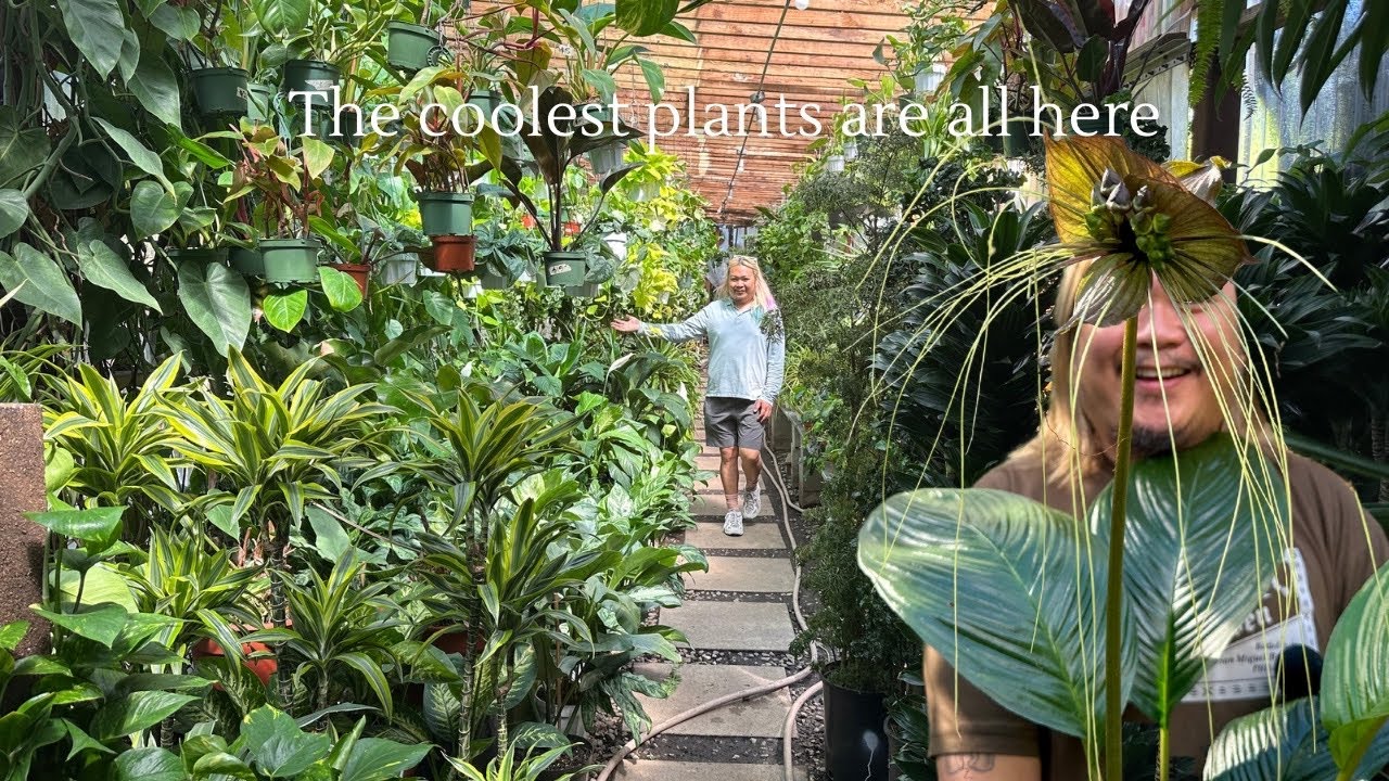 This Is a Hotspot for Some Extremely Desirable Plants. - YouTube