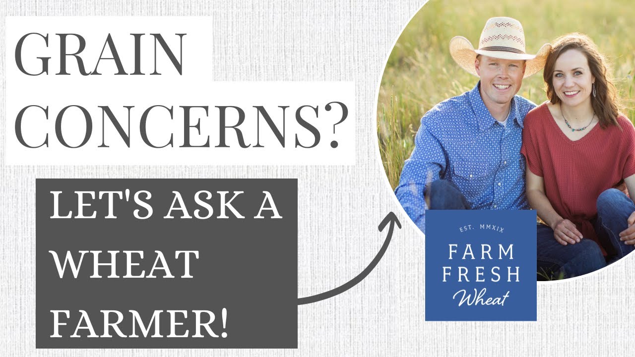 Let's Interview a Wheat Farmer! | Farm Fresh Wheat Interview | Wheat ...