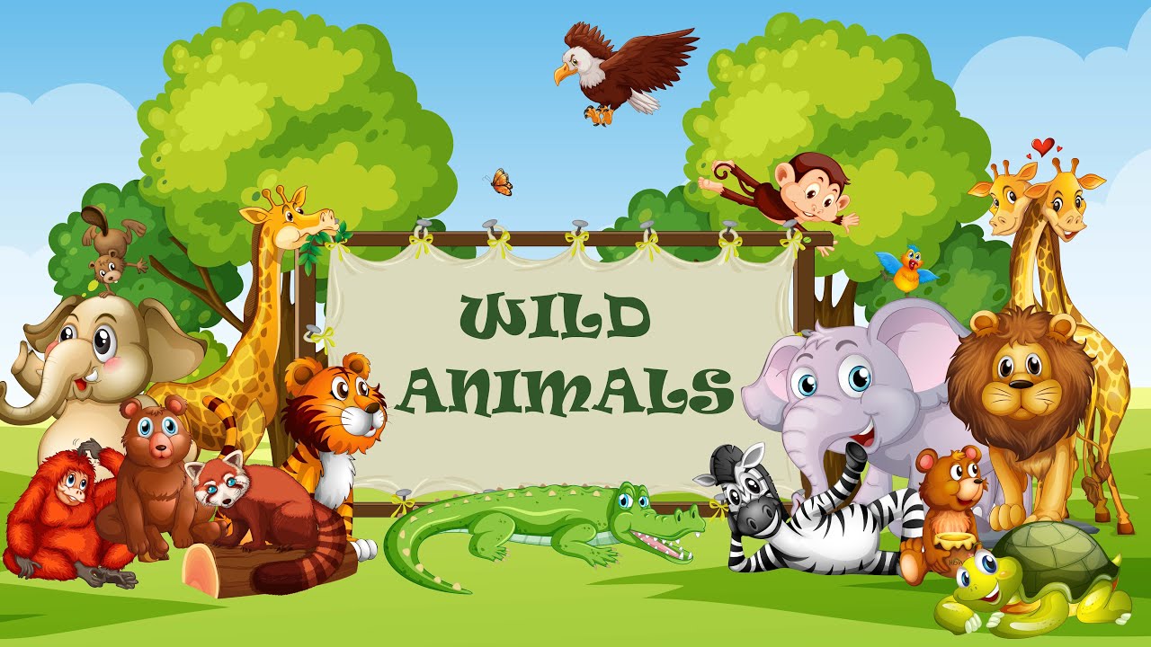 Wild Animals for Kids | Kids Vocabulary | toddlers animals | Nursery ...