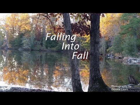 Falling Into Fall - YouTube