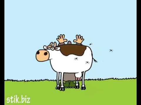 World of Cow - YouTube