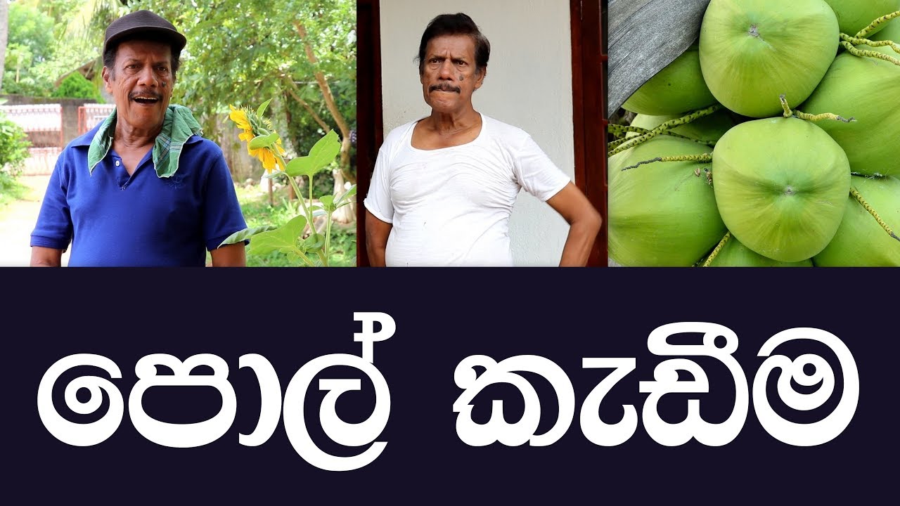 පොල් කැඩීම | Pol Kadima | Dingi mahaththaya | MY TV SRI LANKA - YouTube