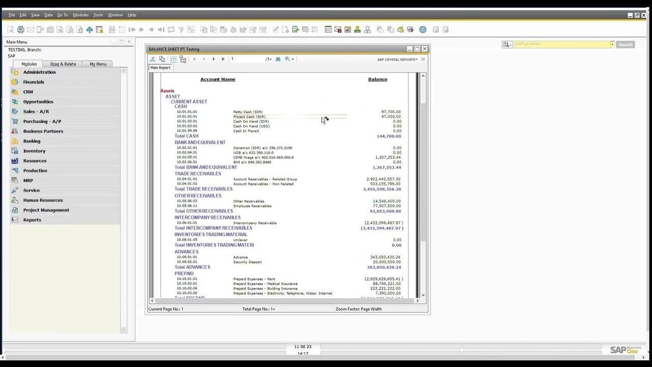SAP B1 Report Layout : Balance Sheet - YouTube
