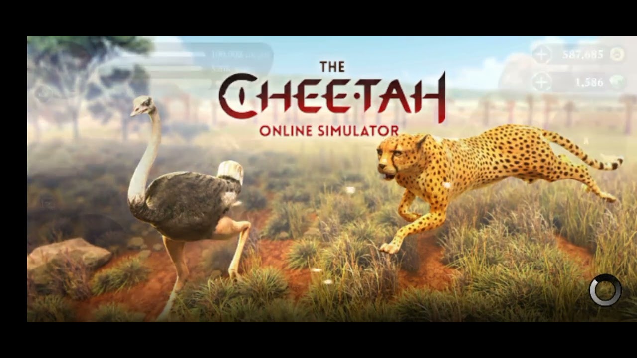 getting to level 33 - YouTube