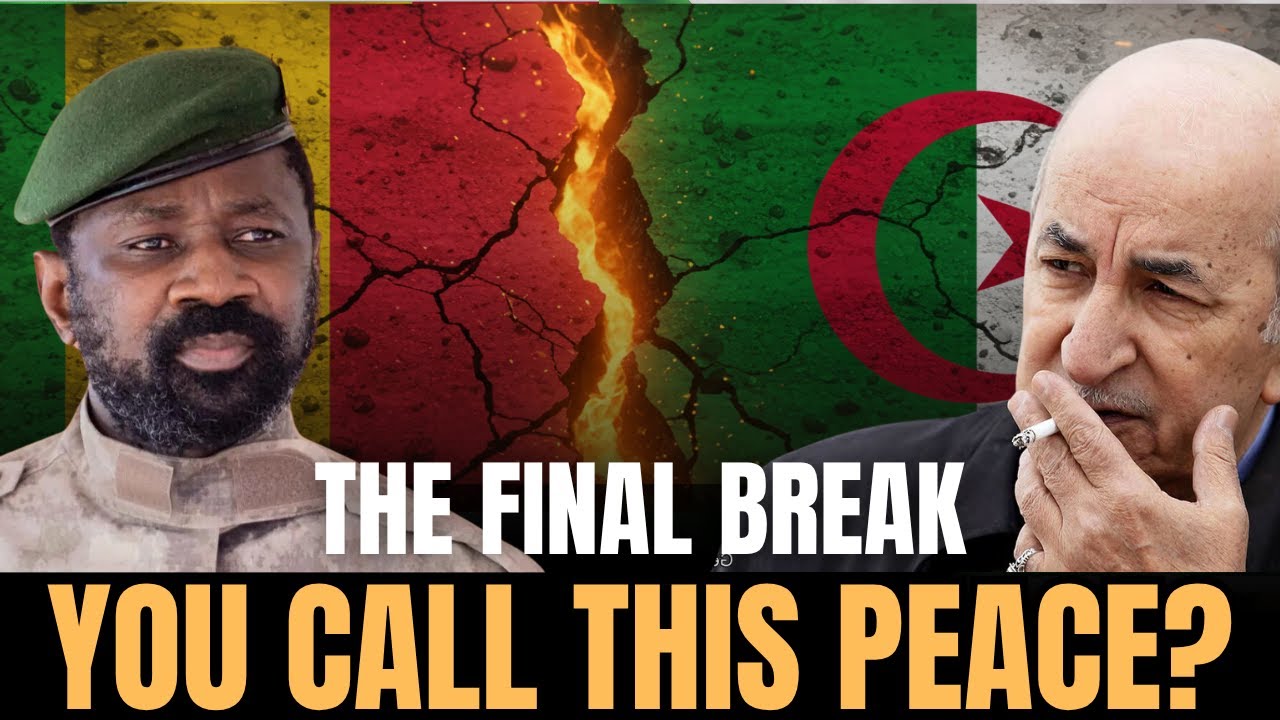 From Mediation to Mobilization – Mali Exposed the Real Algeria - YouTube