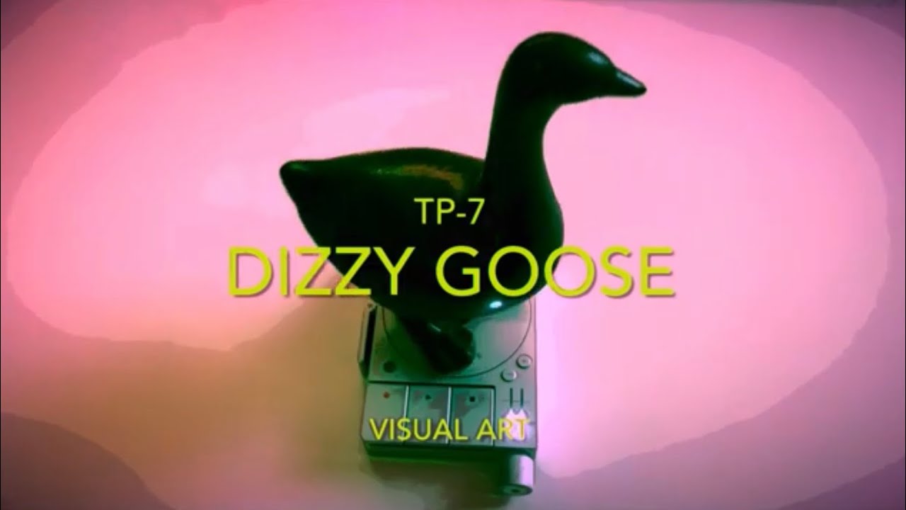 Teenage engineering TP-7 dizzy goose art - YouTube