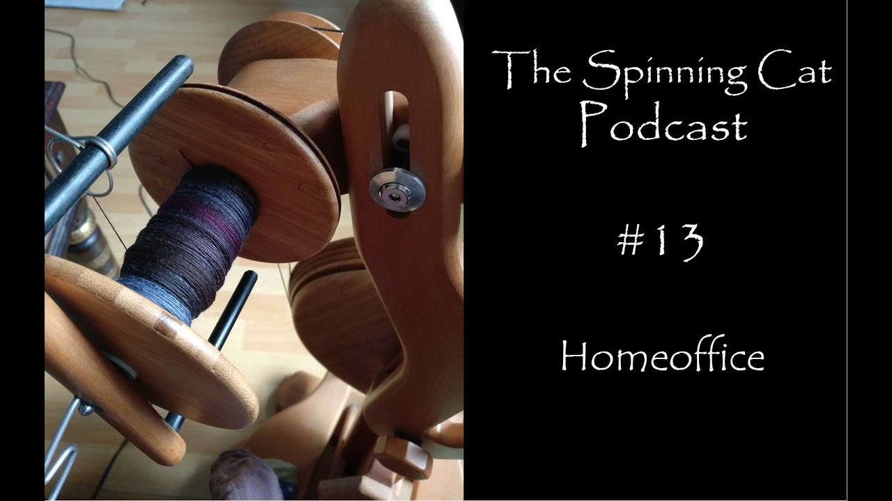 The Spinning Cat | Podcast #13 | Homeoffice - YouTube